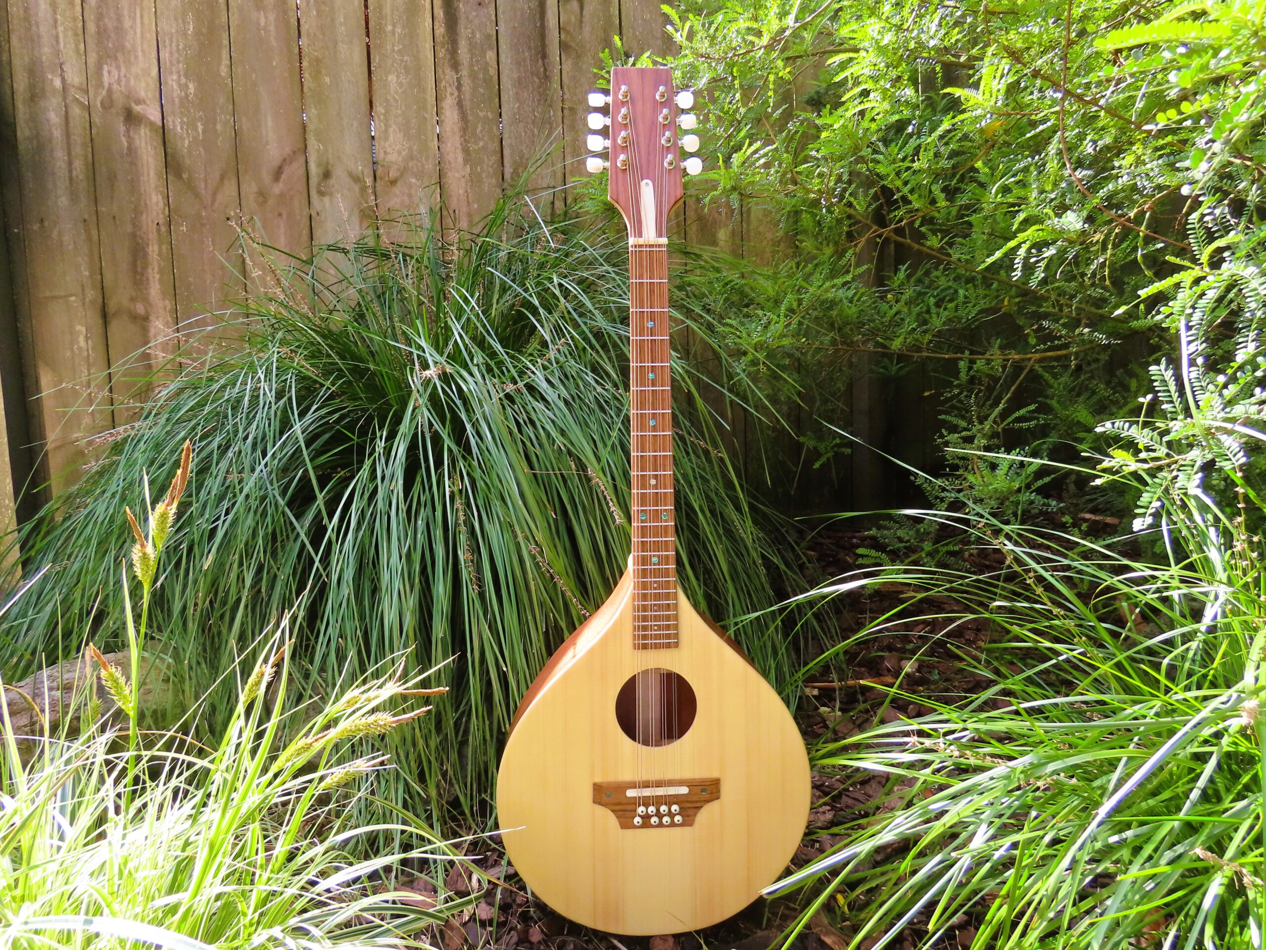 TRAD II ROYALE OCTAVE MANDOLIN / IRISH BOUZOUKI – 24-3/4″ scale ...