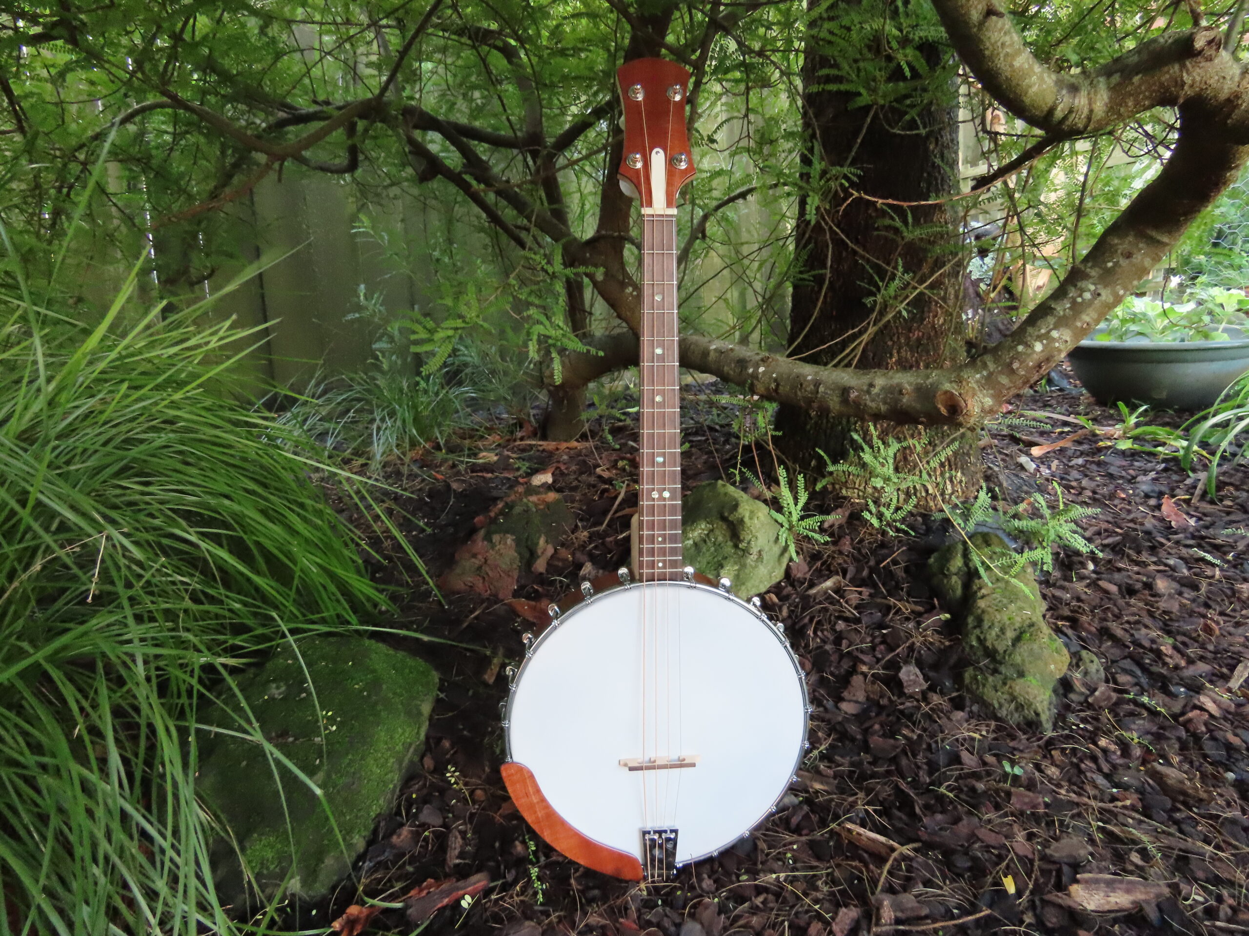 WAYFARER IRISH TENOR BANJO 17 fret, 19-5/8″ scale (open back ...