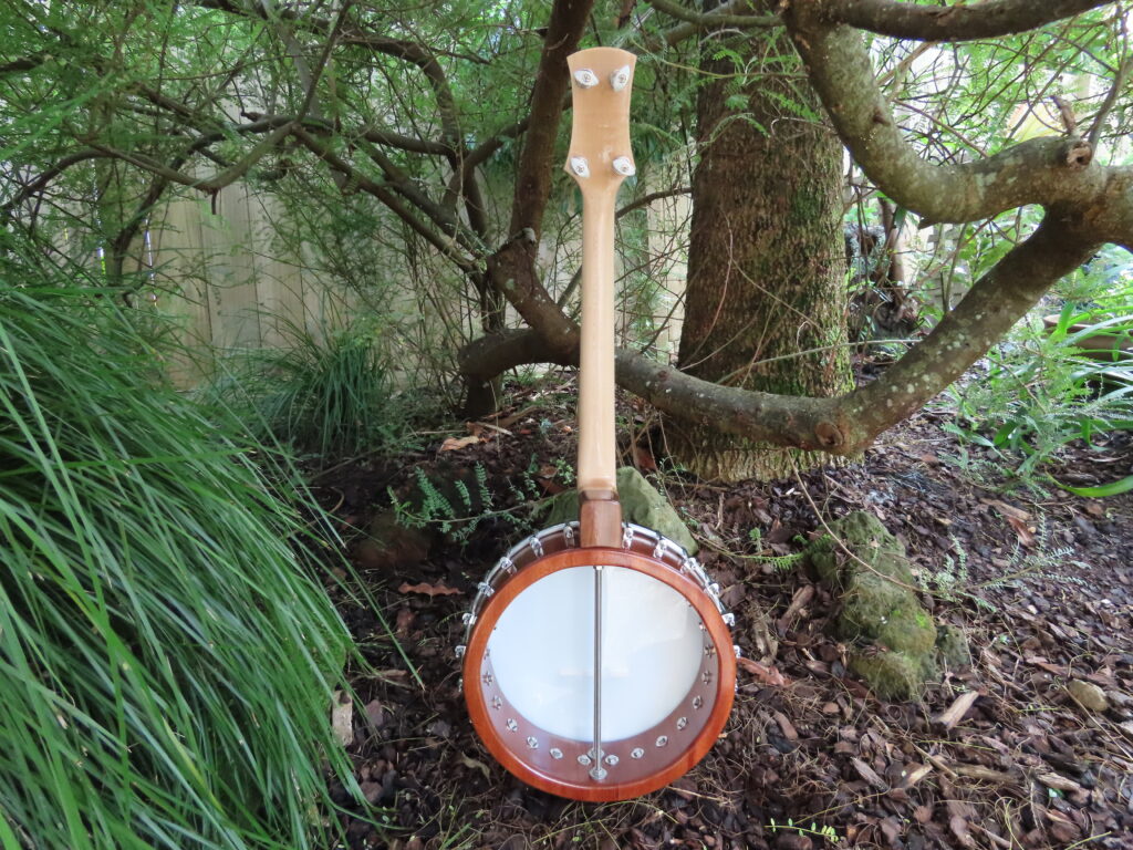 WAYFARER IRISH TENOR BANJO 17 fret, 19-5/8″ scale (open back ...