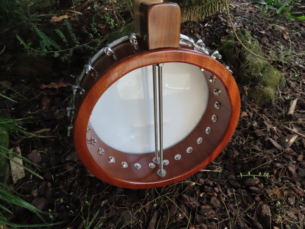 WAYFARER IRISH TENOR BANJO 17 fret, 19-5/8″ scale (open back ...